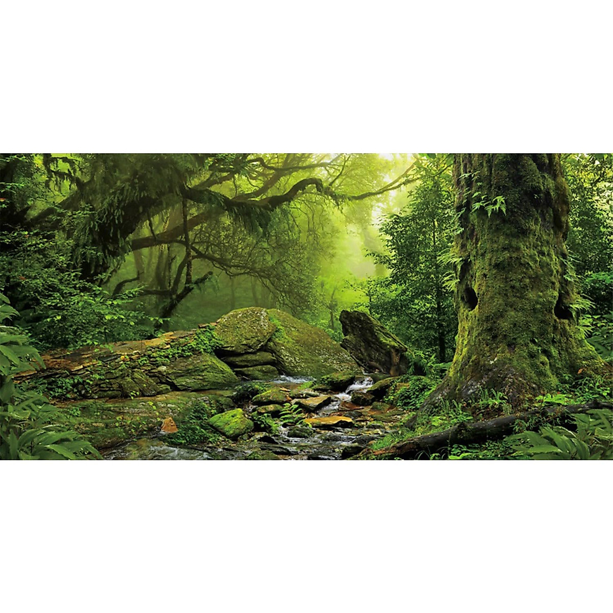AWERT Tropical Forest Terrarium Background Stream Green Huge Tree Reptile Habitat Background Foggy Rainforest Aquarium Background 30x12 inches Durable Polyester Background