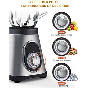 Smoothie Blender, 750W Blenders for Kitchen, Blender for Shakes and Smoothies with 48 oz Tritan Glass Jar, Professional Kitchen Blender, 6 Stainless Steel Blades, 2 Adjustable Speed and Pulse Function