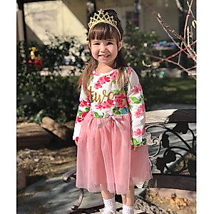 2nd Birthday Outfit Girl Two Year Old Birthday Outfit (Pink-Long Sleeve,2T)