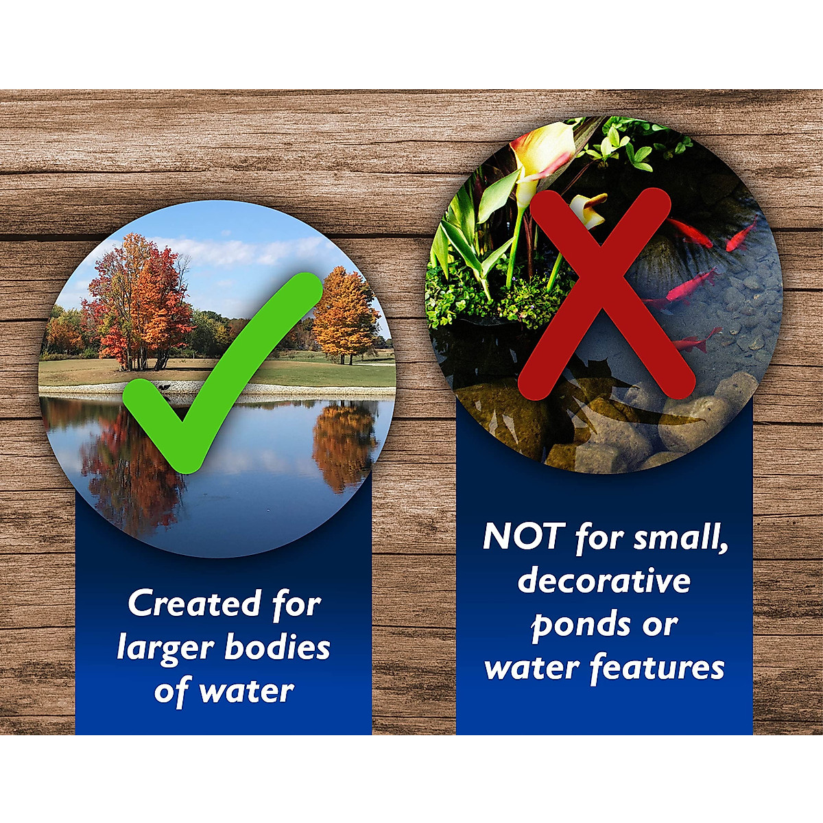 Muck Doctor, 5 Biological Spikes to Reduce Muck, Perfect for Beach Fronts, Lake Docks and Swimming Areas