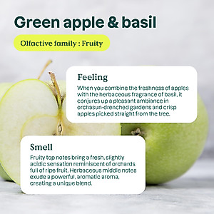 ATTITUDE Dishwashing Liquid, EWG Verified, Vegan Dish Soap, Plant Based, Naturally Derived Products, Green Apple and Basil, Bulk Refill, 67.6 Fl Oz