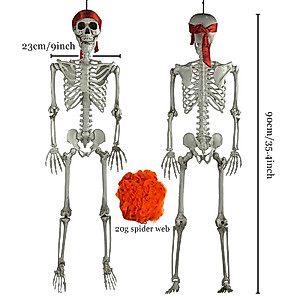 XMxoTxo 3FT Halloween Skeleton Decorations,Plastic Halloween Body Skeleton Prop for Halloween Decor Outdoor/Indoor