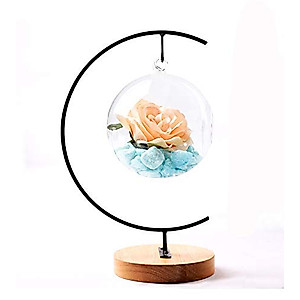 YY YEARCHY Awesomes Ornament Display Stand Metal Air Plant Flower Pot Holder for Hanging Glass Globe Ball
