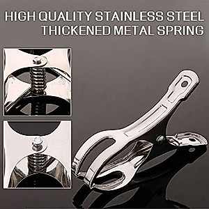 LINNNZI Greenhouse Clips, 4.3 inch Garden Clips, Stainless Steel Plant Clips Clamps with Strong Grip for Garden Hoops Film Row Cover Netting Towel Clothesline