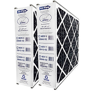 Trion Air Bear Black 288649-002 (2-Pack) - 20" x 25" x 5" Odor Reduction Carbon Filter, MERV 10