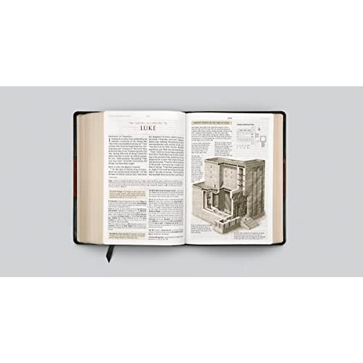 ESV Study Bible, Large Print (TruTone, Forest/Tan, Trail Design)