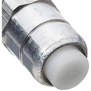 AR North America TPP1401/4A Thermal Relief Valve, 1/4-Inch