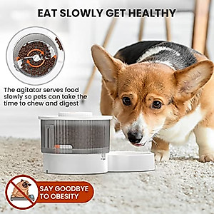 DOG CARE Automatic Cat Feeders, Cordless Automatic Slow Feeder Prevents Bloating for Small Dogs, 4-Cup Capacity Timed Cat Feeder with Meal Times and Portion Control, APP Control Pet Dry Food Dispenser