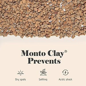 Monto Clay pH 5.6 (Montmorillonite Calcined Clay) Bonsai Soil Amendment (2 Dry Quarts)