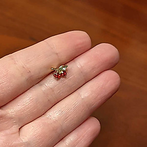 Body Candy Womens 16G PVD Steel Red Accent Cherries Fruit Labret Monroe Lip Ring Tragus Cartilage Stud 5/16"