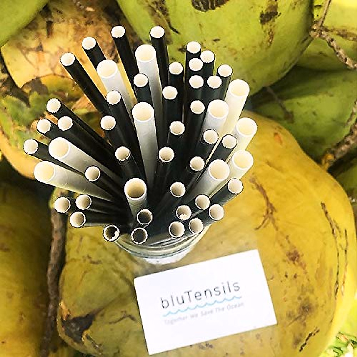 400 Pieces bluTensils Biodegradable Compostable Eco-friendly Bulk Standard Paper Straw Utensil Party Holiday Events Supplies Juice Tea Bar (Black, Standard)