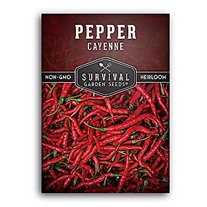 Survival Garden Seeds - Red Cayenne Pepper Seed for Planting - Packet with Instructions to Plant and Grow Hot Chili Peppers in Your Home Vegetable Garden - Non-GMO Heirloom Variety - Single Pack