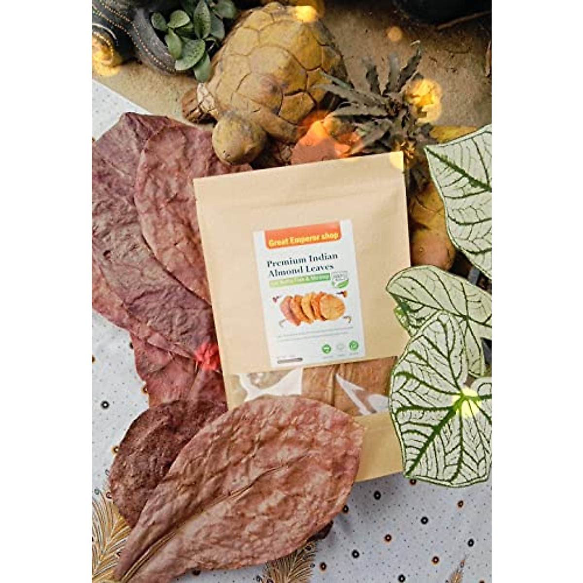 Pufa Great Emperor shop Premium Indian Almond Leaves Medium Catappa for Betta Fish & Shrimps|Best / Shrimp |Indian Almonds Naturally sourced Help Boost immunity 65g.