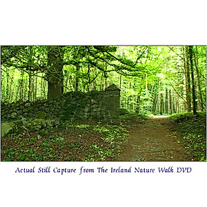 Ireland Nature Walk Treadmill Scenery DVD