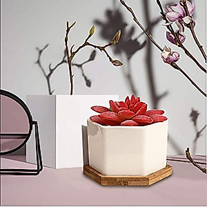 OAMCEG 4 Pack 4 Inch Succulent Plant Pots - Mini Succulent Planters, Set of 4 White Ceramic Succulent Cactus Plant Pots with Bamboo Tray(Plants NOT Included)