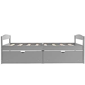 HZSSDTKJ Twin Size Platform Bed with Two Storage Drawers, Solid Wood Daybed Frame with Wooden Slats Support for Kids Teens Girls Boys Adults, No Box Spring Needed (Gray-T6, Twin)