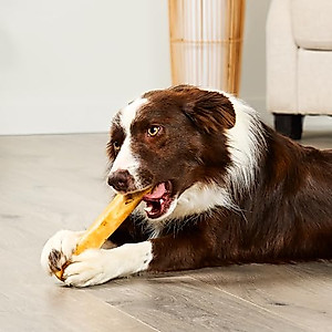 Treatly American Sourced Beefhide Rolls 8-9" Dog Chew Treats - Chicken Flavor, 10 Count/1 Pack