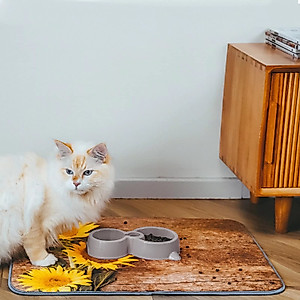 Absorbent Large Dish Drying Mat for Kitchen Counter 18 x 24 Inch, Reversible Washable Drainer Cushion, Sink Mat with Hand Drawn Wreath, Microfiber Fast Drying Mat for Baby Bottle, or Coffee Maker