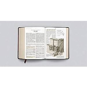 ESV Study Bible, Large Print (TruTone, Brown/Cordovan, Portfolio Design)