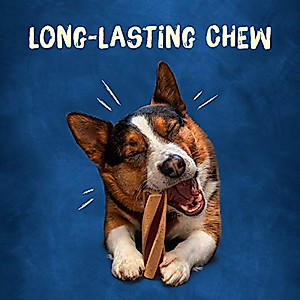 Purina Busy With Beggin' Made in USA Facilities Small/Medium Breed Dog Treats, Twist'd - 6 ct. Pouch