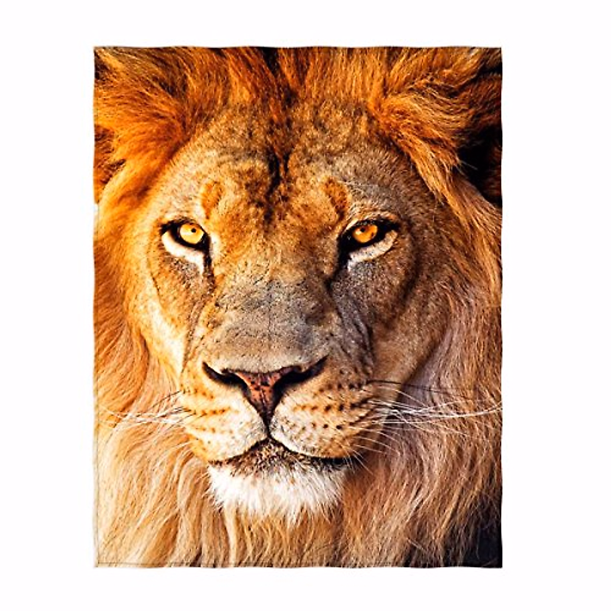 QH Lion Printing Velvet Plush Throw Blanket Comfort Design Home Decoration Fleece Blanket Perfect for Couch Sofa or Travelling 58" x 80" (2)