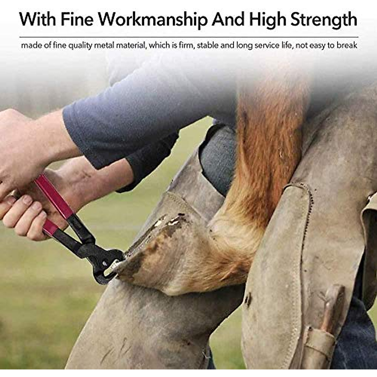 CARLAMPCR Hoof Trimmers Goat Hoof Trimming Shears Nail Clippers, Horse Farrier Tool, Multi-Purpose Hoof Trimmers for Goats Sheep Pigs Cattle Horses, with Rubber Grip, Durable and Convenient