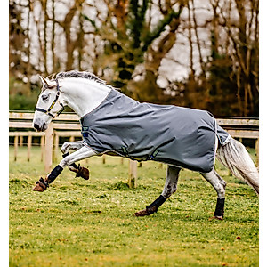 Horseware® Amigo® Bravo 12 Original Turnout Horse Blanket (100g Light)