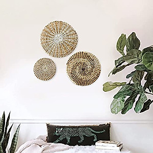 Farmhouse Room Decor Basket- Set of 3 Wall Hanging Seagrass Shallow Basket - Handwoven Southwestern Decorative Tobacco Baskets (Rustic Mix)