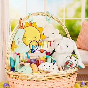 B. toys- B. softies- 12" Plush Bunny– Soft & Cuddly Plush Bunny – Huggable Stuffed Animal Rabbit Toy – Washable- Happy Hues- Peppy Mint Bunny- 0 Months +