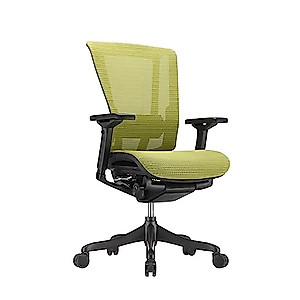 Raynor Nefil Elite Smart Motion Mesh Chair