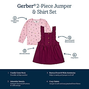 Gerber Baby Girls Toddler 2 Piece Overall Dress Set, Purple Floral, 4T