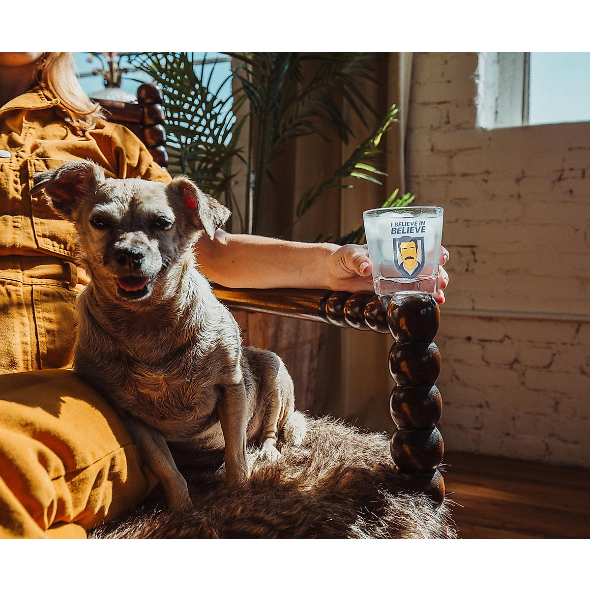 Silver Buffalo Ted Lasso 10-Ounce Mini Rocks Glasses | Set of 4