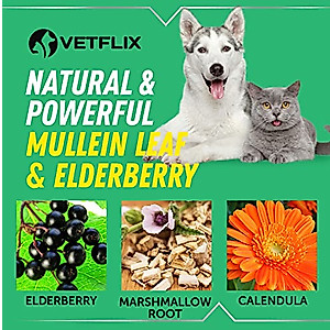 Kennel Cough Treatment for Dogs & Cats - Made in USA - Dog Allergy & Cat Asthma Relief - Mullen Leaf & Elderberry Blend - Dry, Wet & Barky Cough Relief for Dogs & Cats - All Breeds & Sizes