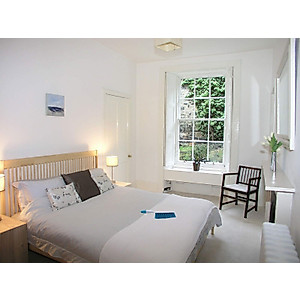 Soft Bristle Cleaning Brush Hand Brushs Bed Hair Dust Removal Scrubber Cleaner for Family Trip Sofa Furniture, Blue