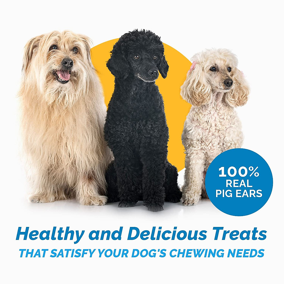 123 Treats Natural Pig Ears for Dogs, 100% Natural Long Lasting Pork Dog Chews, Ideal for All Chewers, Delicious and Healthy Dog Treats, Pig Ears Large and Mix (one Pack of 100)