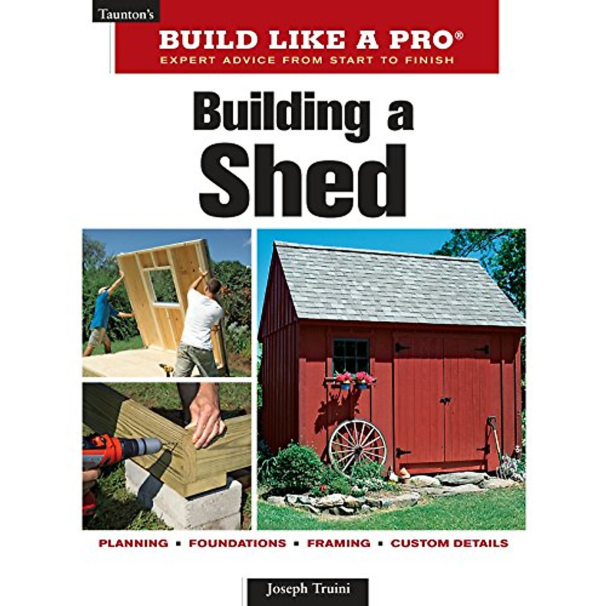 Building a Shed (Taunton's Build Like a Pro)