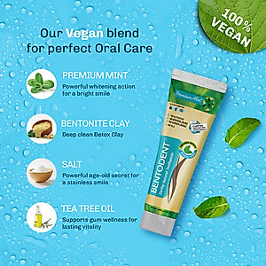 Bentodent Remineralizing Fluoride Free Toothpaste, Organic & Natural with Calcium Bentonite Clay, SLS Free, Whitening for Sensitive Teeth, Vegan (Premium Mint Combo)