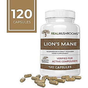 Lions Mane Brain and Focus Supplements - Mushroom Powder Extract Capsules - Non GMO and Gluten Free Supplement for Better Cognitive Health