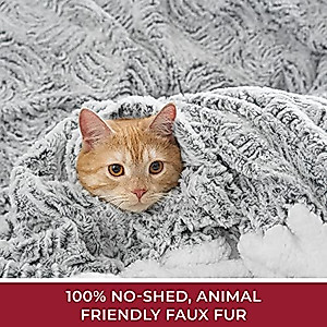 Mellanni Faux Fur Plush Blanket - Luxurious Gray Throw Blankets - Fuzzy Blankets and Throws - 2-Sided Faux Fur Blanket & Sherpa - Shed-Resistant Throws and Blankets for Sofa (50" x60'', Gray)