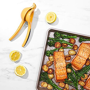 OXO Good Grips Citrus Squeezer