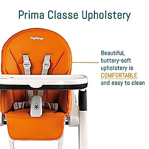 Peg Perego Siesta – Multifunctional Compact Folding High Chair – From Birth to Toddler – Recliner and High Chair – Made in Italy – Ice (Grey)