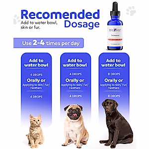 Pet Essences - Seizures Formula for Dogs, Cats, and Horses - 1oz, Safe & Natural Dog Calming Drops, Pet Seizure Support for All Species, Breeds & Ages - Featuring Organic Crowea, Impatiens & Saguaro