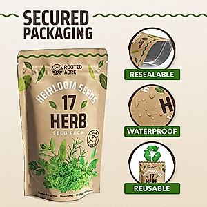 17 Herb Culinary Seed Vault - 5200+ Herbs Seeds for Planting Indoor or Outdoor Garden - Heirloom, Non GMO | Hydroponic Herb Garden Seeds with High Germination | Cilantro, Mint, Chives, Basil, Parsley