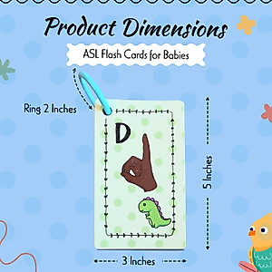 Little Signs Collection Sign Language Flash Cards - American Sign Language Flash Cards for Kids - Montessori Educational Toys - ASL Flash Cards for Babies, Toddlers, or Kids - 1 to 4 Years