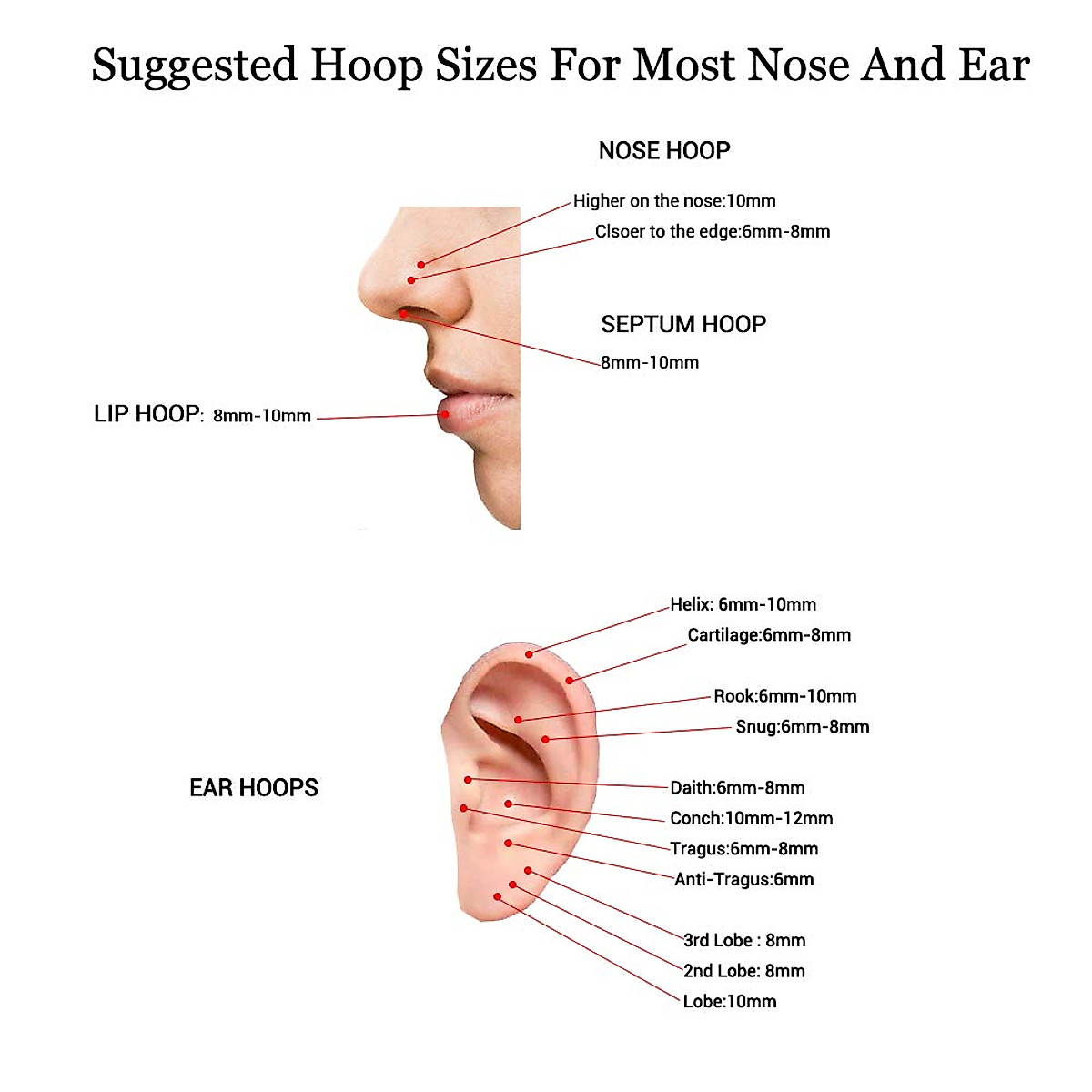 16G 18G 20G Stainless Steel Hinged Clicker Segment Septum Nose Lip Ring Hoop Cartilage Tragus Sleeper Earrings Body Piercing Jewelry for Women Men 6mm 8mm 10mm Mix Colors A Set (20G - 8mm - 4Pcs)