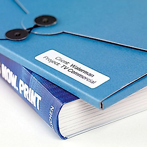 DYMO 1738541 LW Small Labels, 1-Inch x 2-1/8-Inch, White, Self-Adhesive, Roll of 500, for LabelWriter Label Makers