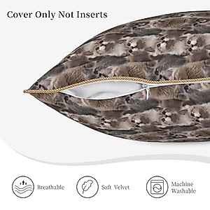 Augenstern Zippered Pillow Protectors Cover Case Camo-Kitty-Cute-Shorthair-Cat Decorative Throw Pillow Cover Square Cushion Case 20"X20"