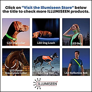 Illumiseen LED Dog Collar USB Rechargeable - Bright & High Visibility Lighted Glow Collar for Pet Night Walking - Weatherproof, in 6 Colors & 6 Sizes (Green Large)