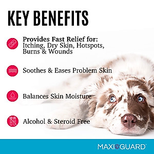 Maxi-Guard Pet Skin Care Gel Zn7 Derm with Neutralized Zinc for Dogs, Cats, Bovine, Exotics and Companion Animals (2oz), red/White