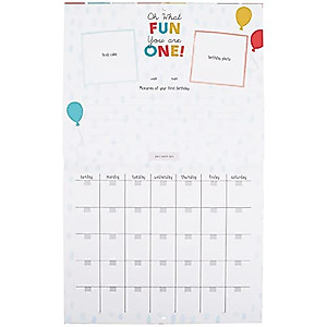 C.R. Gibson BA3-24545 You are My Sunshine Gender Neutral Baby's First Year Keepsake Calendar, 11" W x 18" H Open, Multicolor